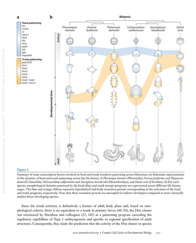 Chapter 2 of integrating complex life cycle in comparative study for ...