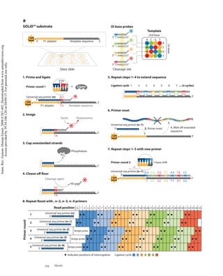 Next Generation Sequencing methods | PDF