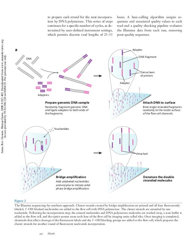 Next Generation Sequencing Methods