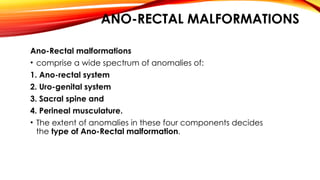 Anatomy of Rectum and Anal Canal with Ano-Rectal Malformations.pptx