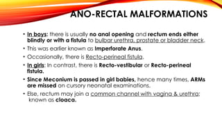 Anatomy of Rectum and Anal Canal with Ano-Rectal Malformations.pptx
