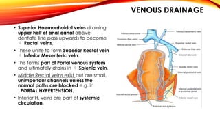 Anatomy of Rectum and Anal Canal with Ano-Rectal Malformations.pptx