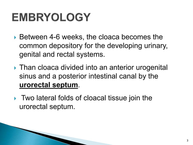 Ano-rectal Malformations copy.pptx