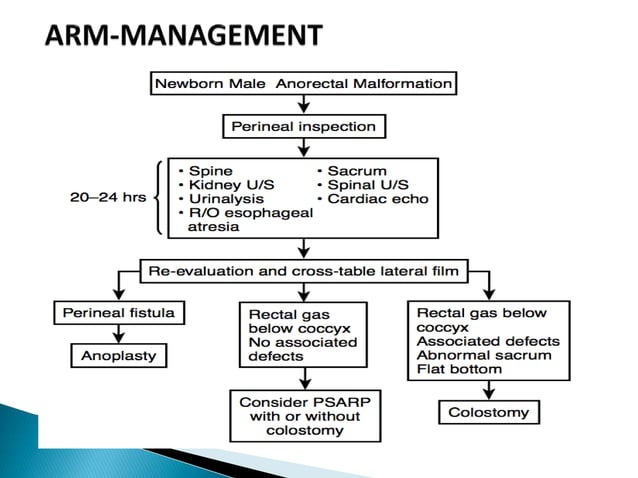 Ano-rectal Malformations copy.pptx