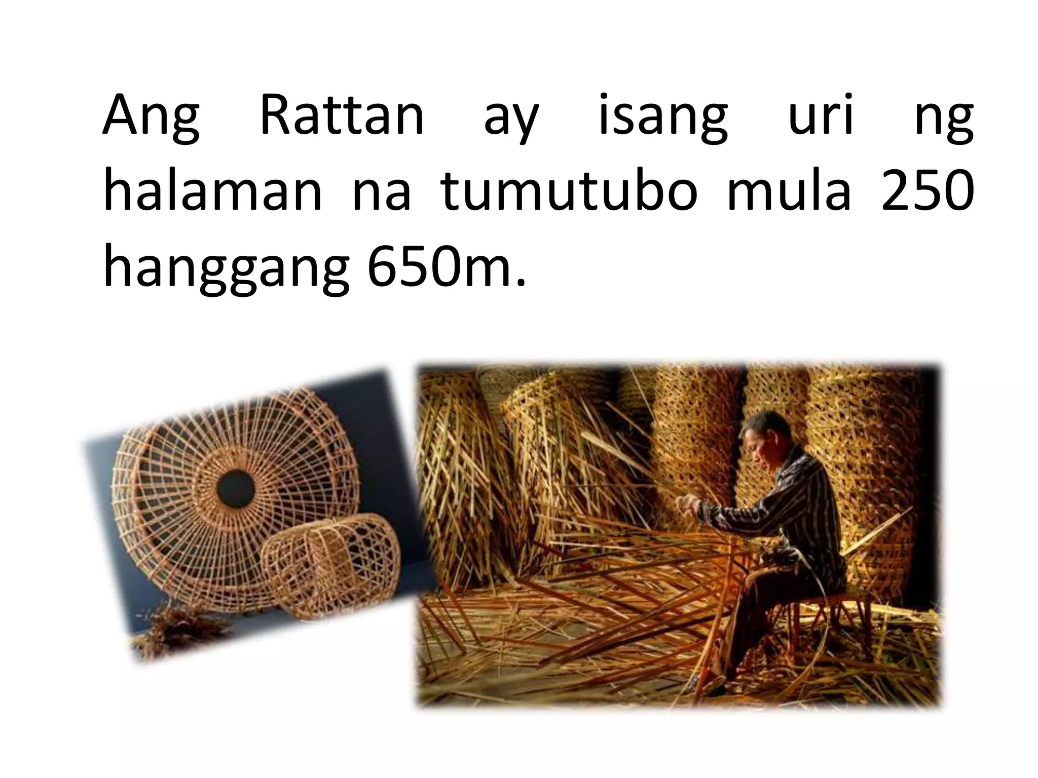 Ano ang Rattan.pptx