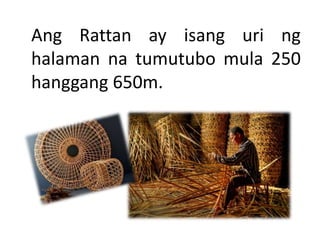 Ano ang Rattan.pptx