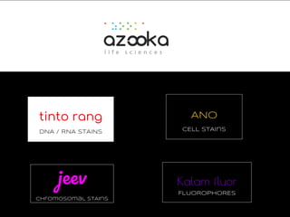 ANO cell stains azooka-dyes | PDF