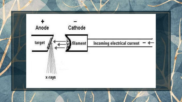 ANODE HEEL EFFECT IN BACHELOR OF MEDICAL IMAGING | PPTX