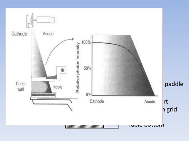 Anode heel effect, line focus principle, | PPTX | Chemistry | Science