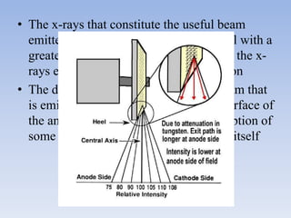 Anode heel effect, line focus principle, | PPT