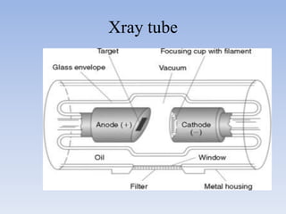 Anode heel effect, line focus principle, | PPT