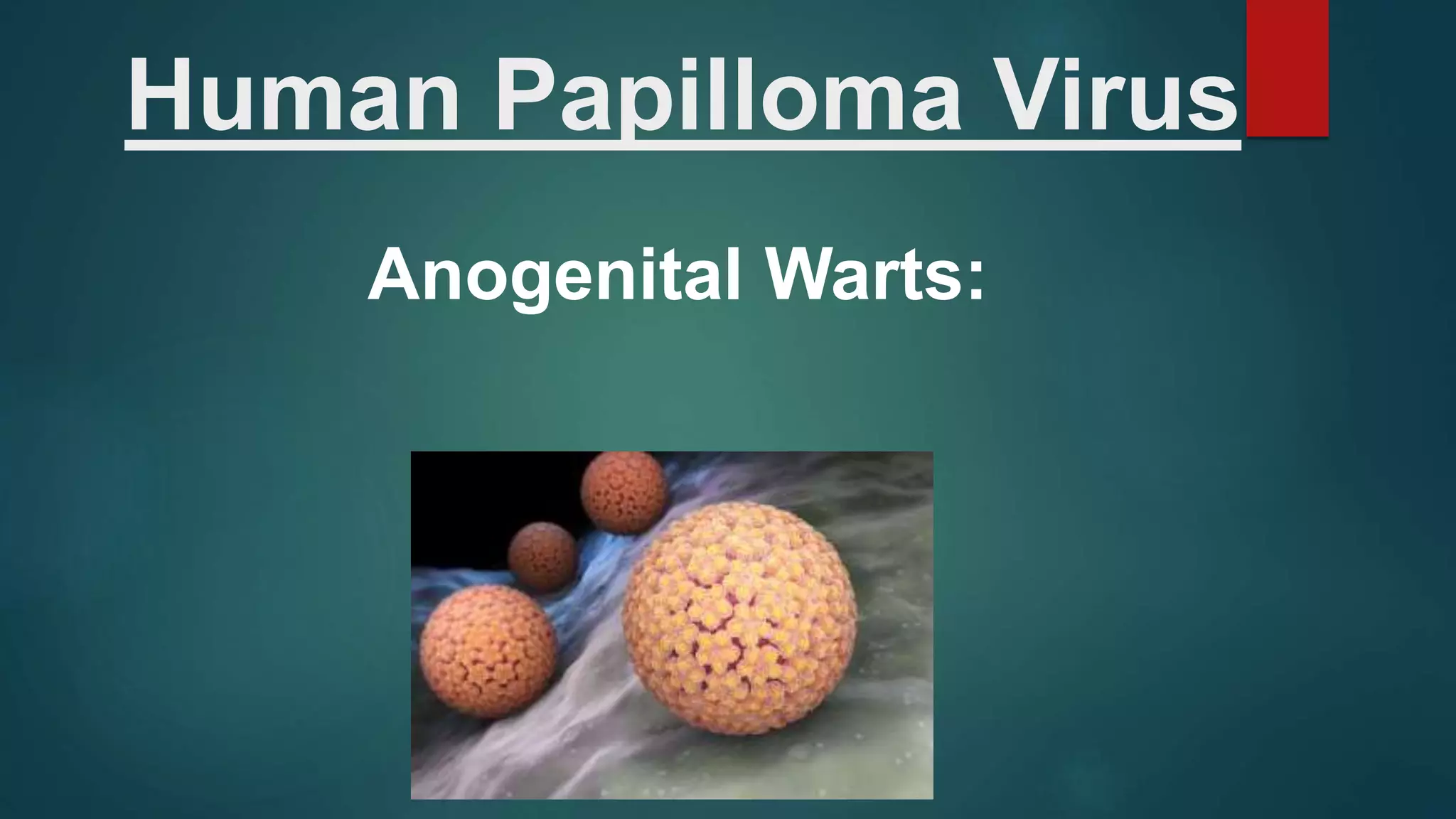 Anogenital warts | PPTX
