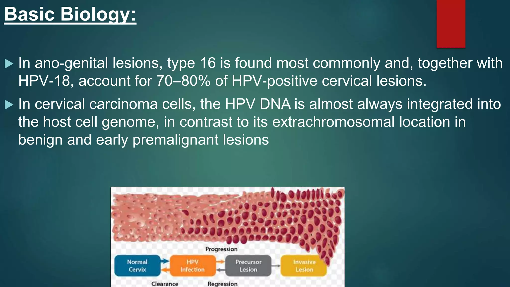 Anogenital warts | PPTX