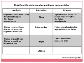 Malformaciones Ano-rectales | PPTX
