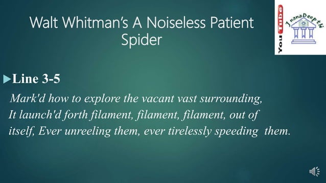 A Noiseless Patient Spider by Chethan B Manjunath | PPT