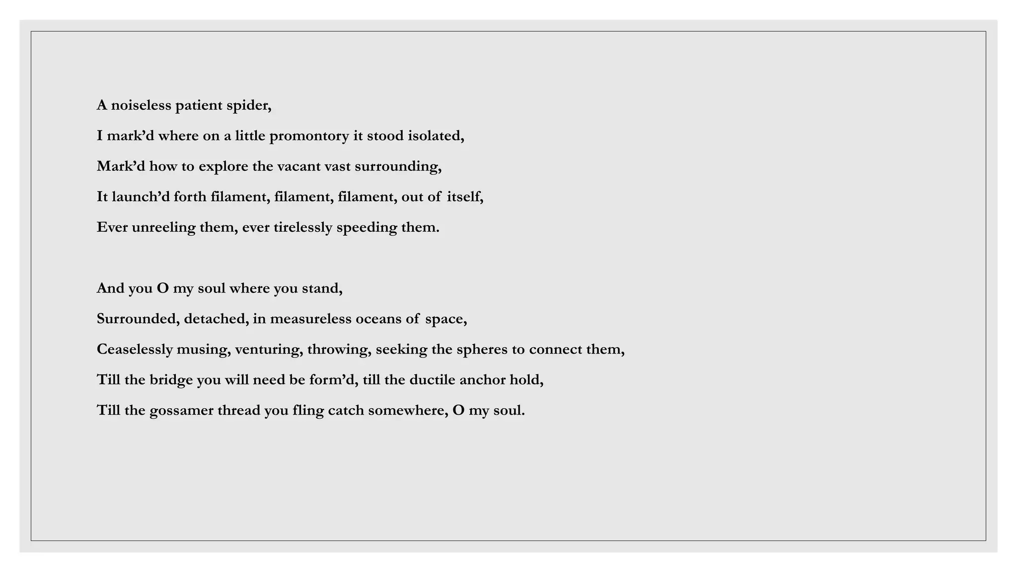 A Noiseless Patient Spider.pptx