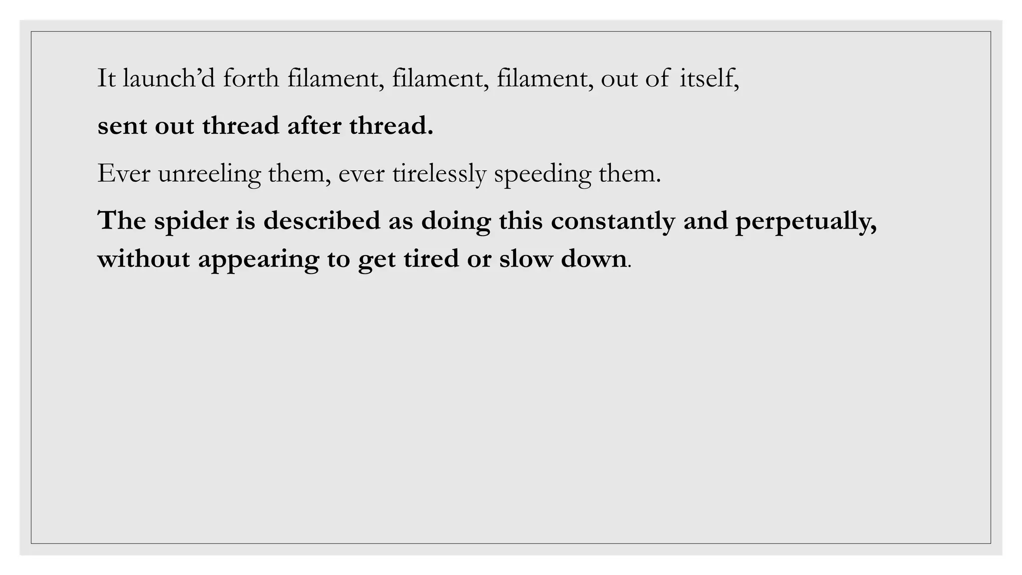 A Noiseless Patient Spider.pptx