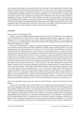 Anolis pentaprion relatives revision, a. charlesmyersi sp. n | PDF