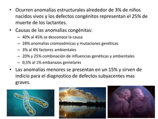 Anomalías congénitas y diagnostico prenatal | PPTX