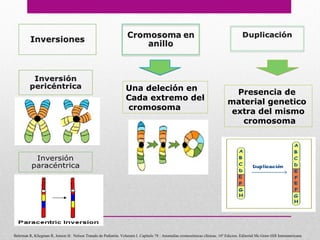 Anomalías cromosómicas | PPT