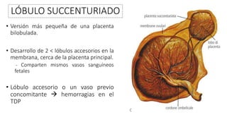 Anomalías de la placenta, el cordón umbilical y memrbranas. | PPT