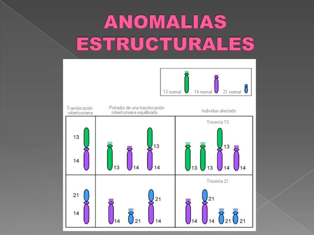Anomalias cromosomicas