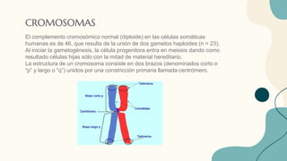 ANOMALIAS CROMOSOMICAS.pdf