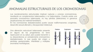 ANOMALIAS CROMOSOMICAS.pdf