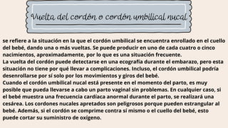 anomalias del cordon umbilical_embriologia | PDF