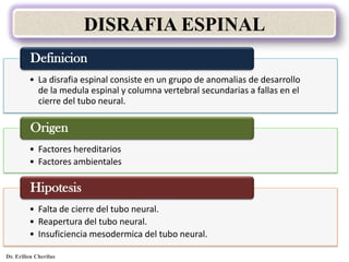 Anomalias del desarrollo vertebral - Neurocirugía | PPTX