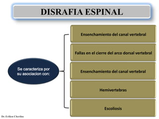 Anomalias del desarrollo vertebral - Neurocirugía | PPTX