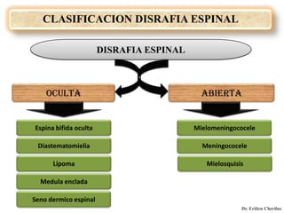 Anomalias del desarrollo vertebral - Neurocirugía | PPTX