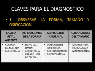 Anomalias del SNC Fetal. Ultrasonografia | PPTX