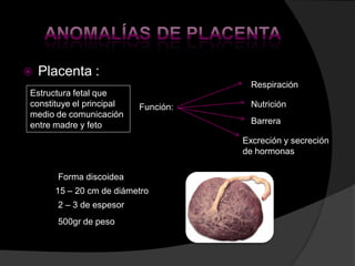 Anomalias de placenta,cordon y líquido amniótico | PDF