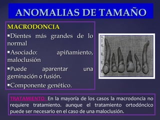 Anomalias desarrollo dentario | PPT