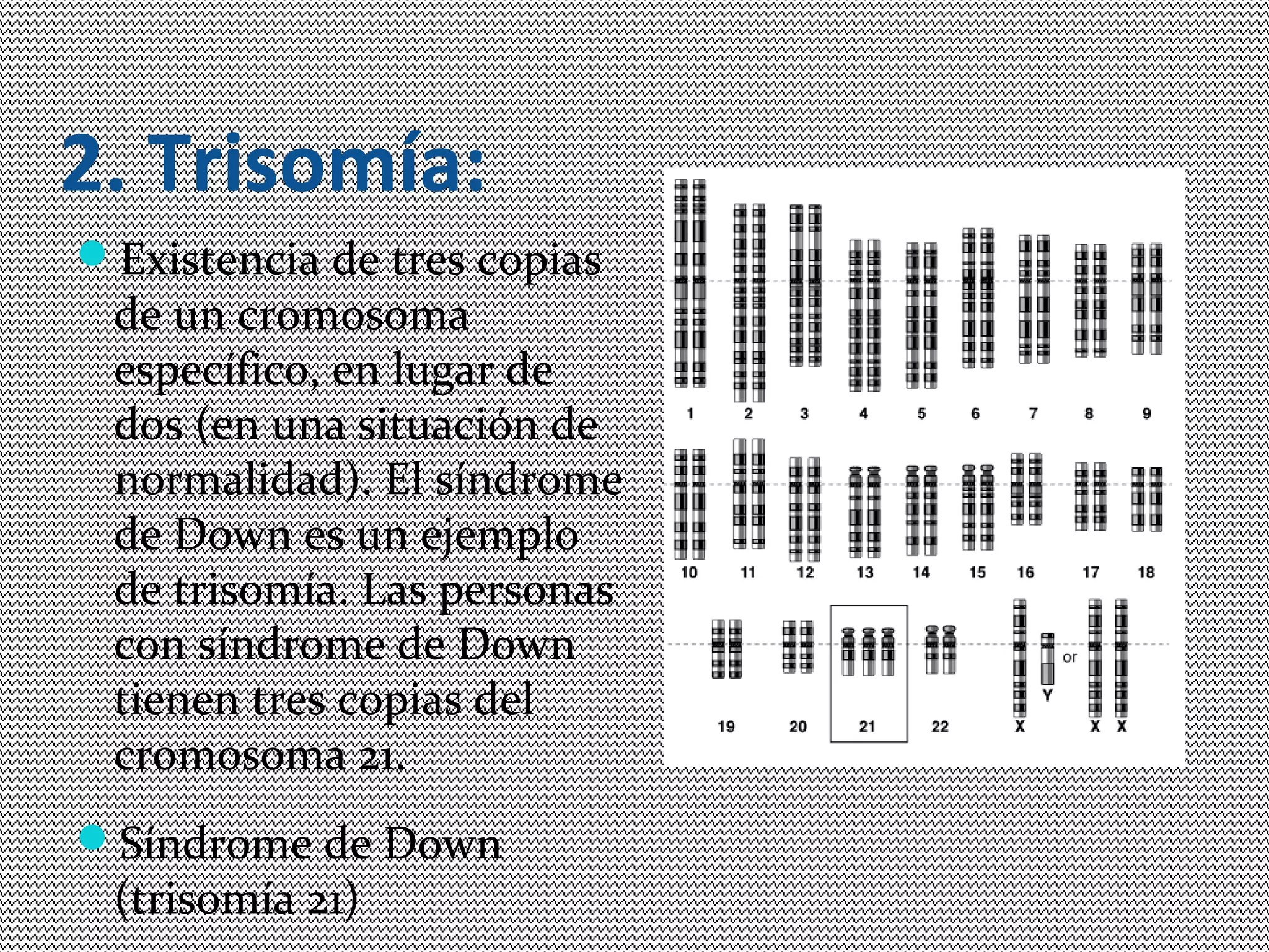 Anomalias geneticas smp | PPT