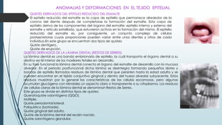 Anomalias y deformaciones en el tejido epitelial1 | PPTX