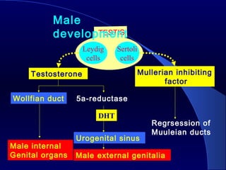 Anomalies By DR ASAD | PPT | Infertility | Reproductive Health