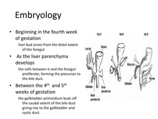 Anomalies of biliary tree | PPTX