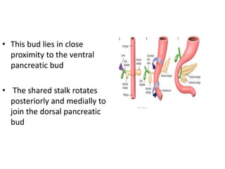 Anomalies of biliary tree | PPTX