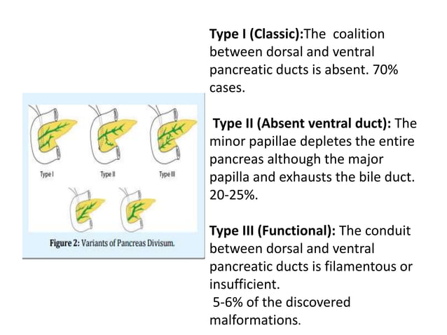 Anomalies of biliary tree | PPTX