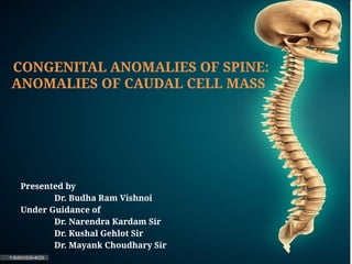 anomalies of caudal cell mass:anomalies of human spine.pptx