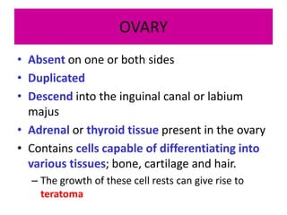Anomalies of Female Reproductive System (Embryology-uterus, uterine ...