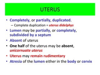 Anomalies of Female Reproductive System (Embryology-uterus, uterine ...