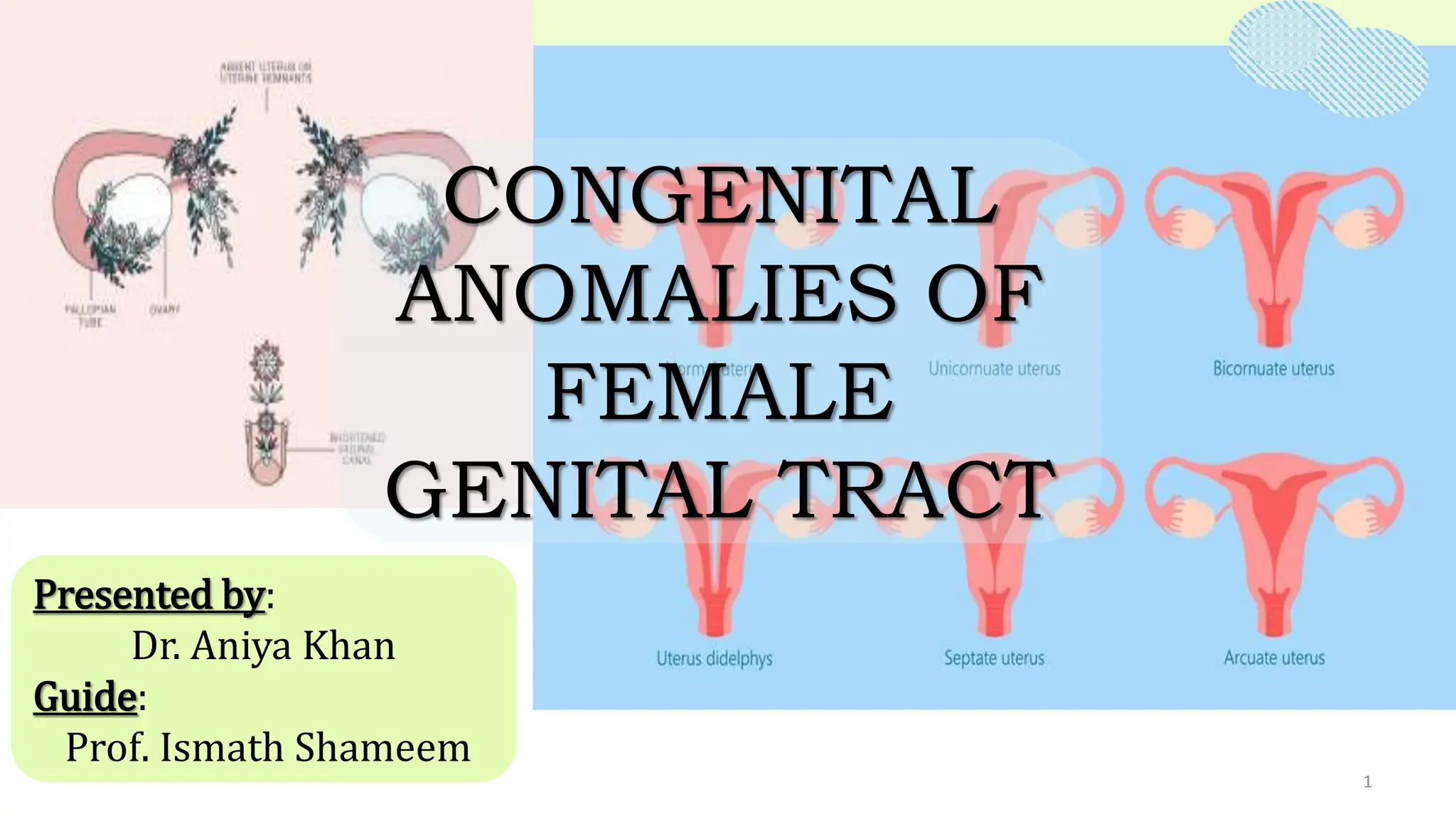 Congenital anomalies of female genital tract.pptx