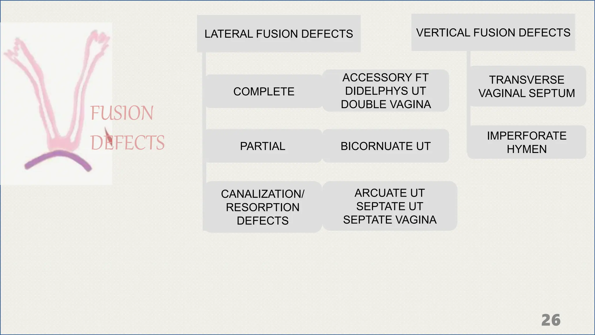 Congenital anomalies of female genital tract.pptx