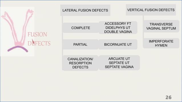 Congenital anomalies of female genital tract.pptx | Pregnancy ...