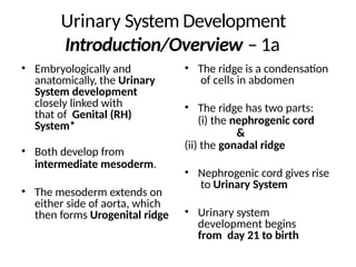 Anomalies of Genito-urinary system.pptx