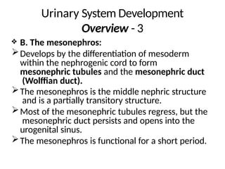 Anomalies of Genito-urinary system.pptx