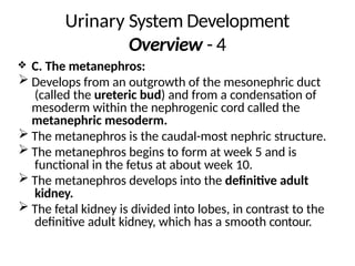 Anomalies of Genito-urinary system.pptx